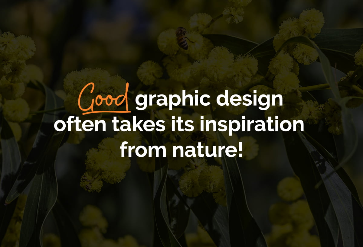 Good graphic design often takes its inspiration from nature! - Fresco ...